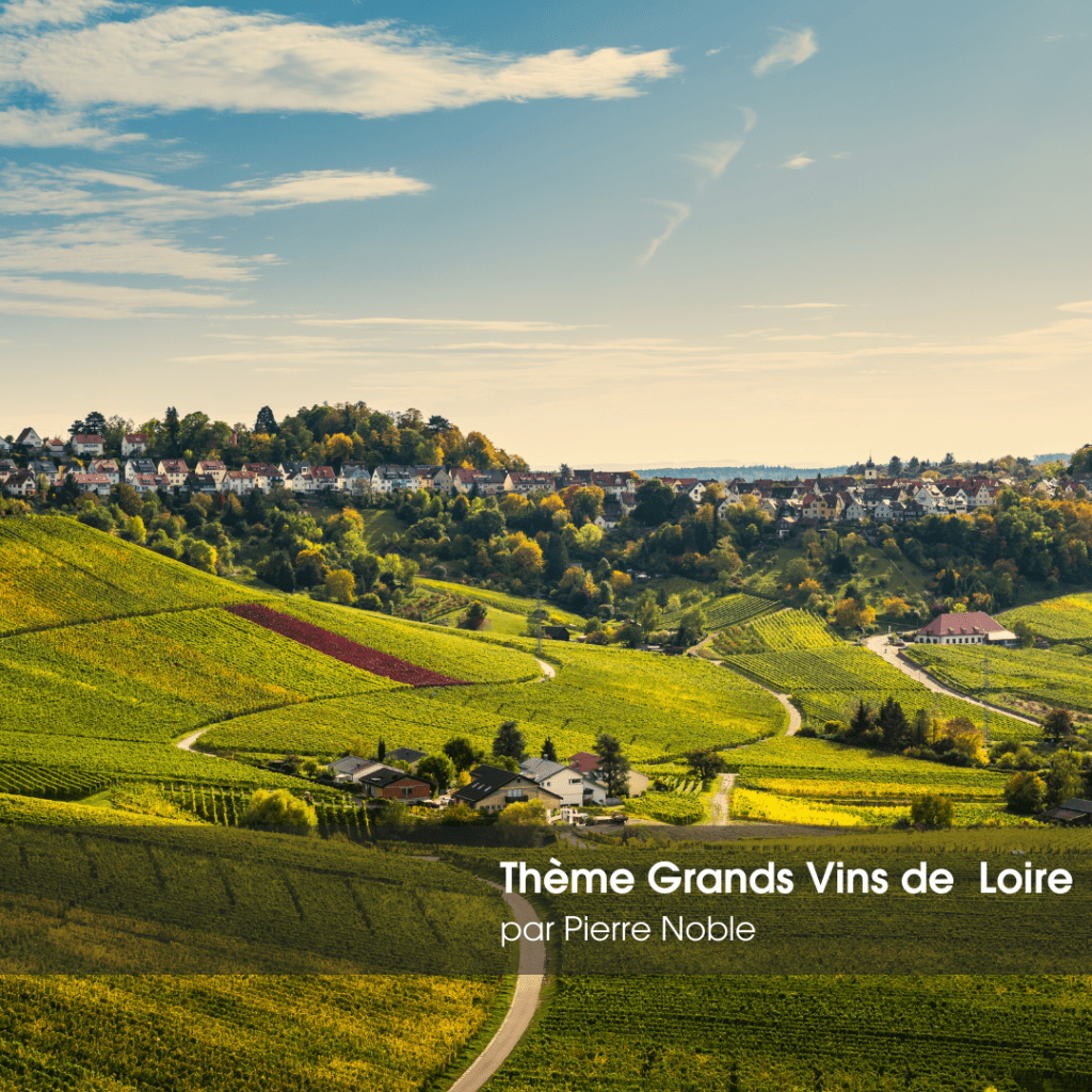 Pierre Noble - Vin Soirée à Thème